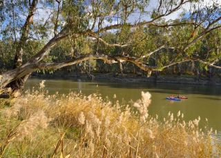 Riverina NSW – Things to Do, Wineries, Accommodation & Events