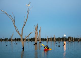 The Murray | NSW Holidays & Accommodation, Things to Do, Attractions ...