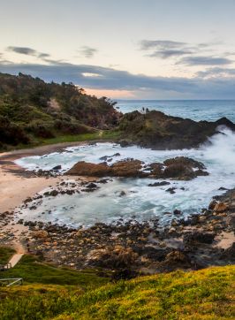Where to find NSW’s prettiest wildflowers | Visit NSW