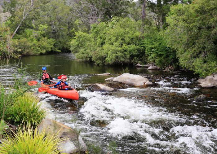 Barrington Tops - National parks, camping & more | Visit NSW