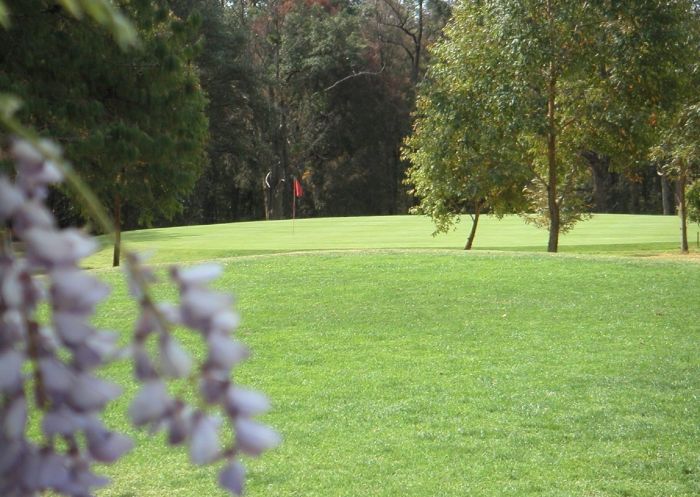 Springwood – Accommodation, things to do & more | Visit NSW