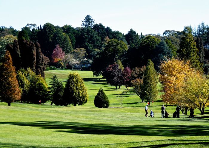 The top golf courses in NSW | Visit NSW
