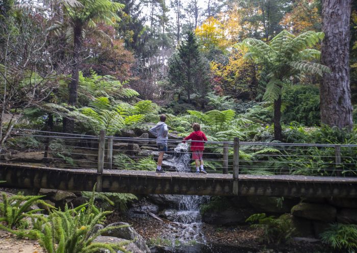 9 of the ultimate outdoor adventures in the Blue Mountains | Visit NSW