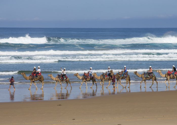 Horse riding, quad biking & mountain biking in NSW | Visitnsw.com