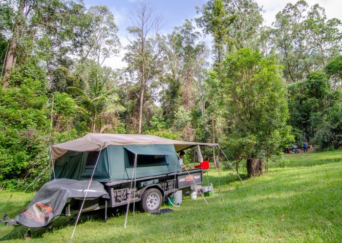 11 unmissable nature experiences in Lismore & surrounds | Visit NSW