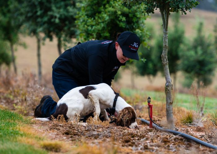 The best stops on a Sydney to Orange road trip | Visit NSW