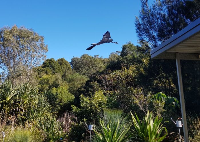 11 unmissable nature experiences in Lismore & surrounds | Visit NSW