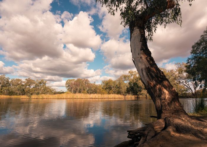 Cobar & surrounds - Towns, things to do & more | Visit NSW