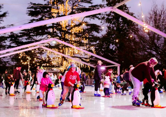 5 winter road trips to tick off in NSW | Visit NSW