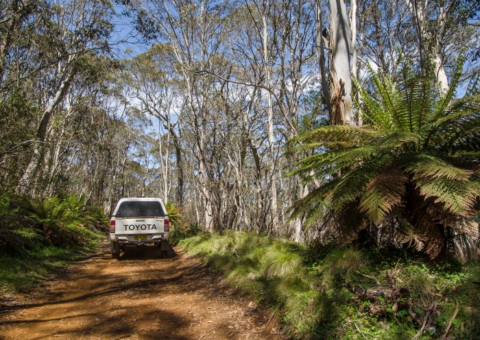 10 of the best 4WD tracks in NSW | Visit NSW