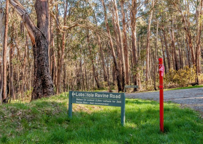 10 of the best 4WD tracks in NSW | Visit NSW