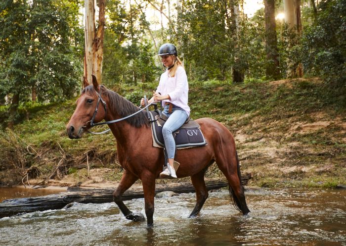 Must-do horse riding experiences in NSW | Visit NSW