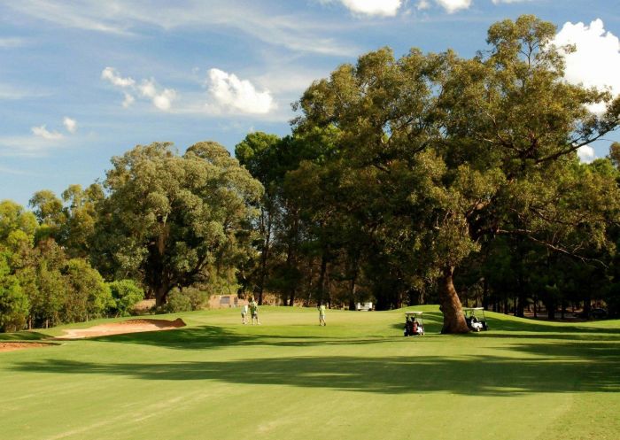 The top golf courses in NSW | Visit NSW