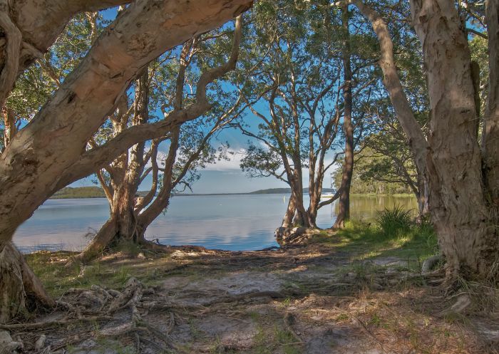 Bulahdelah - Accommodation, things to do & more | Visit NSW