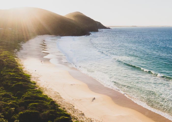 Tick off these 10 spectacular nature experiences in the Forster region ...