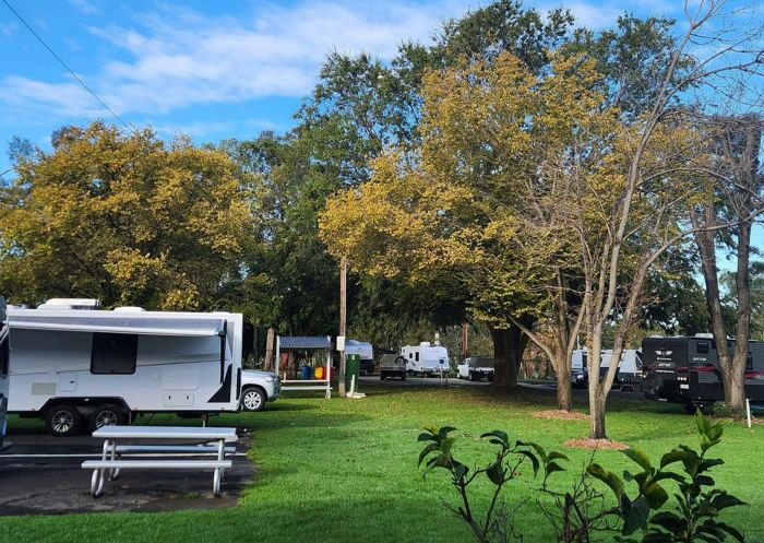A 4-day itinerary driving the Riverina’s Canola Trail | Visit NSW