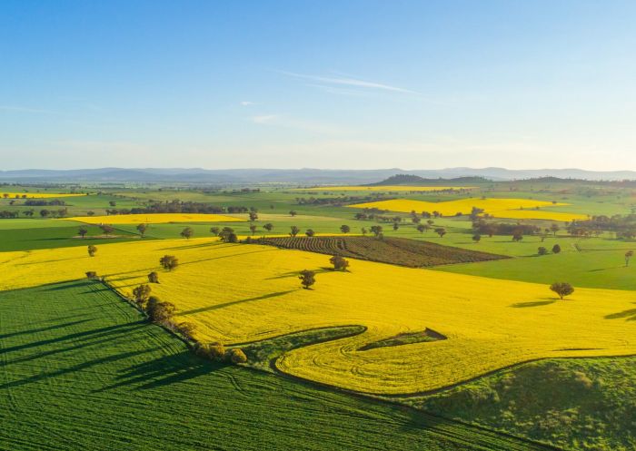 A 4-day itinerary driving the Riverina’s Canola Trail | Visit NSW