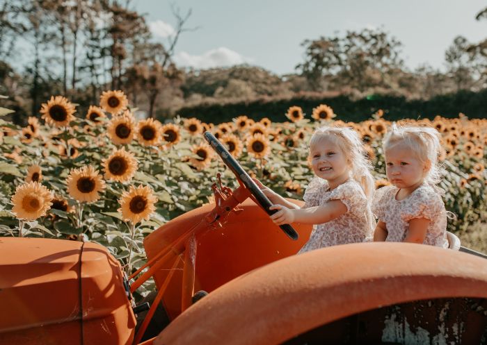 Flower farms: Where to pick flowers in NSW | Visit NSW