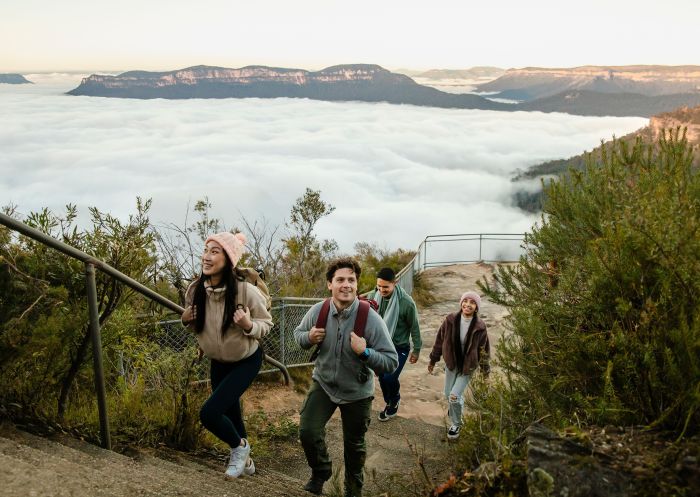 9 of the ultimate outdoor adventures in the Blue Mountains | Visit NSW