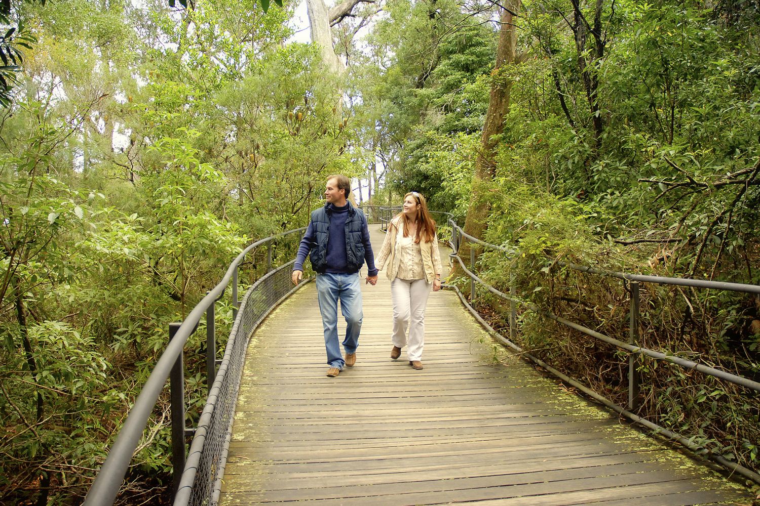 Fitzroy Falls Activities | NSW Holidays & Accommodation, Things to Do ...
