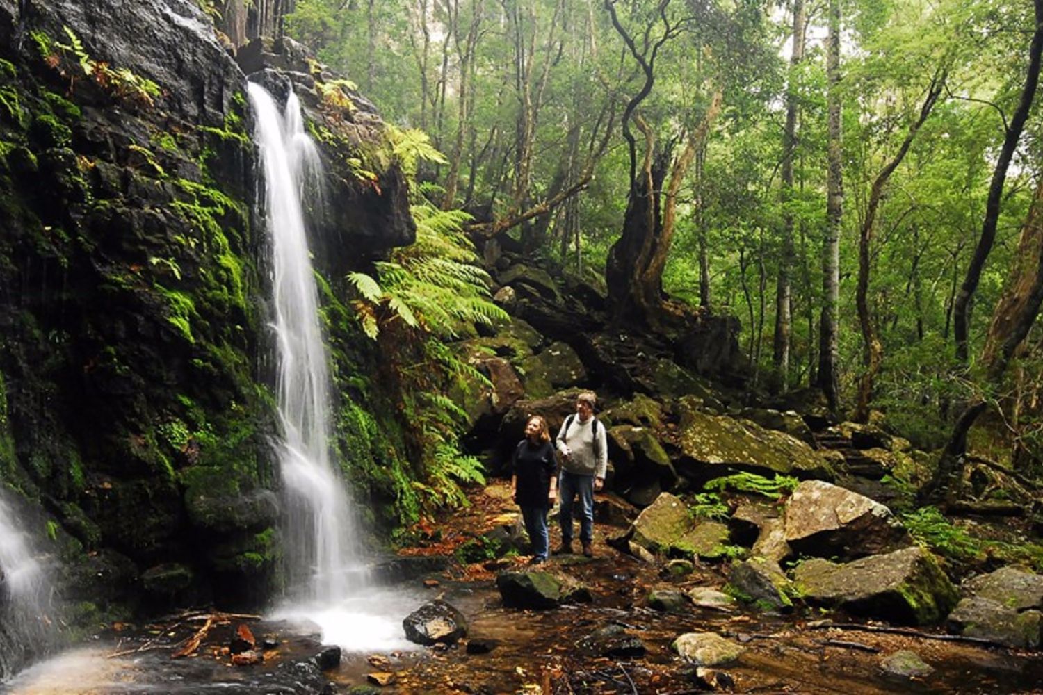 Fairy Bower Falls | NSW Holidays & Accommodation, Things to Do ...