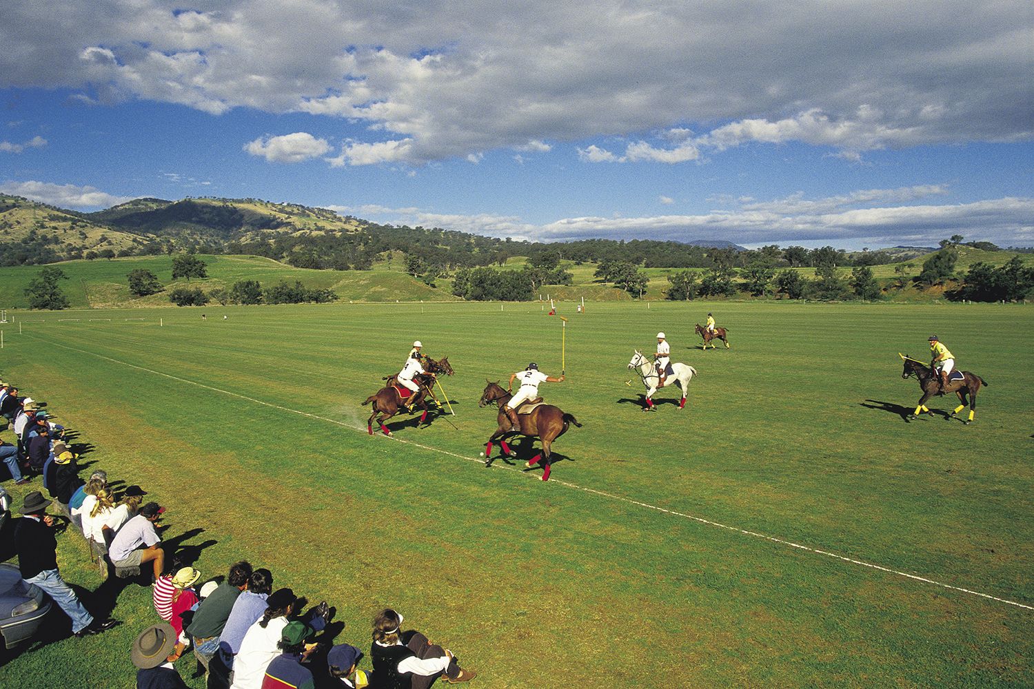 Scone NSW - Find Accommodation, Events & Camping