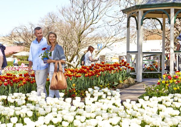 Tulip Time Festival – Buy tickets & travel information | Visit NSW