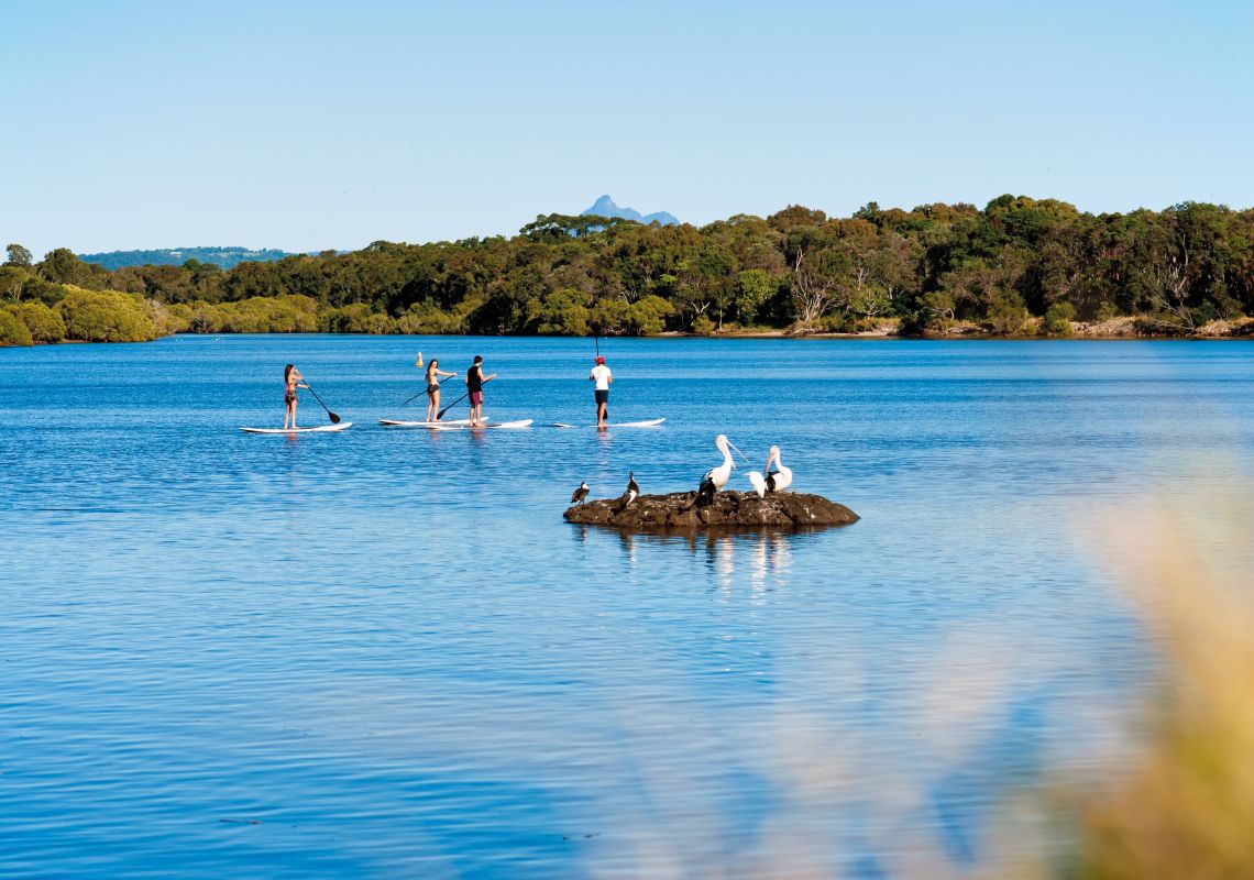 Kingscliff NSW - Plan a Holiday - Find Things to Do, Hotels & Maps