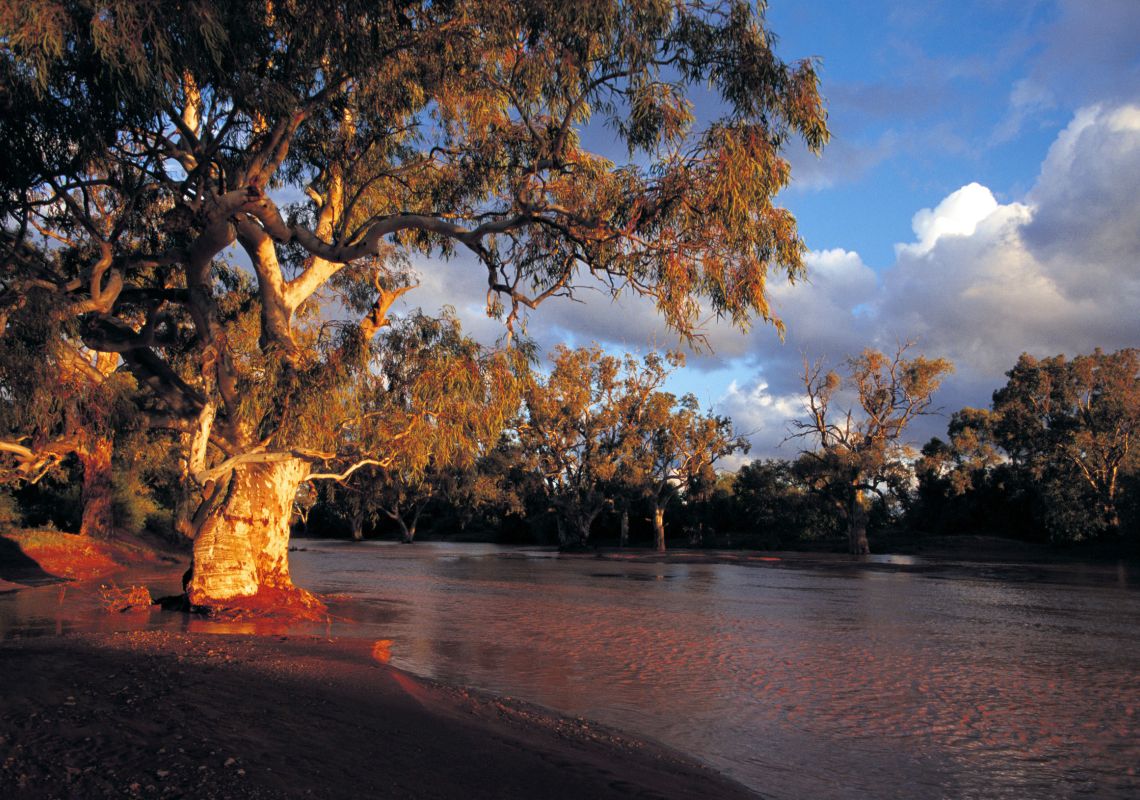 Walgett NSW - Plan a Holiday - Accommodation, Caravan Parks & Maps
