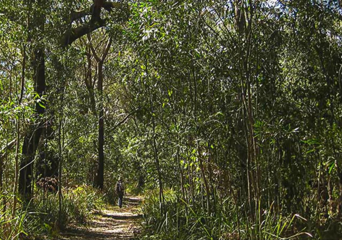 Gerroa NSW - Plan a Holiday - Things to Do, Accommodation & Beach