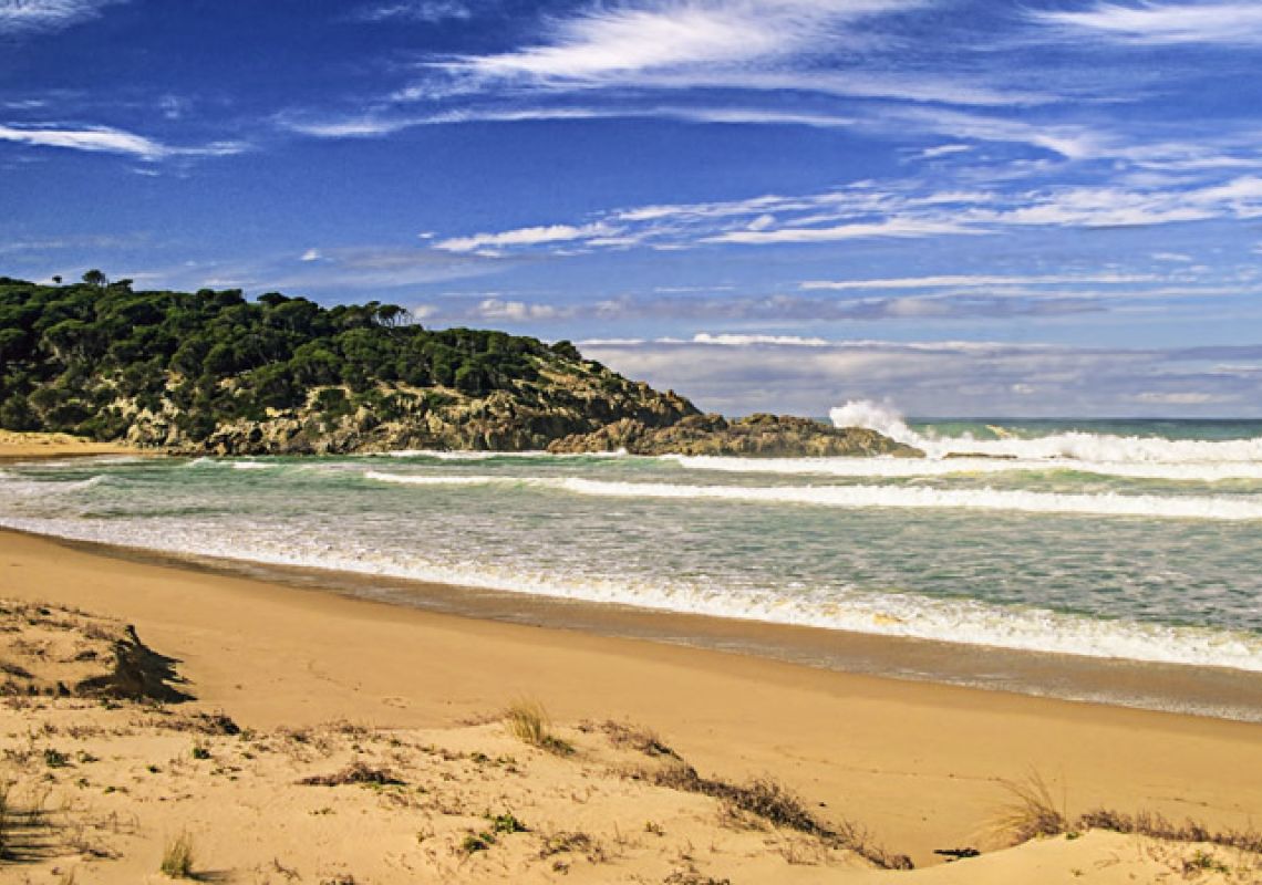 Tathra NSW - Plan a Holiday - Things to Do, Tathra Beach & Accommodation