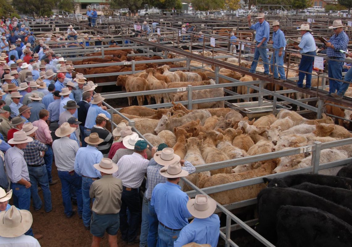 Gunnedah NSW - Plan a Holiday - Hotels, Maps & Attractions