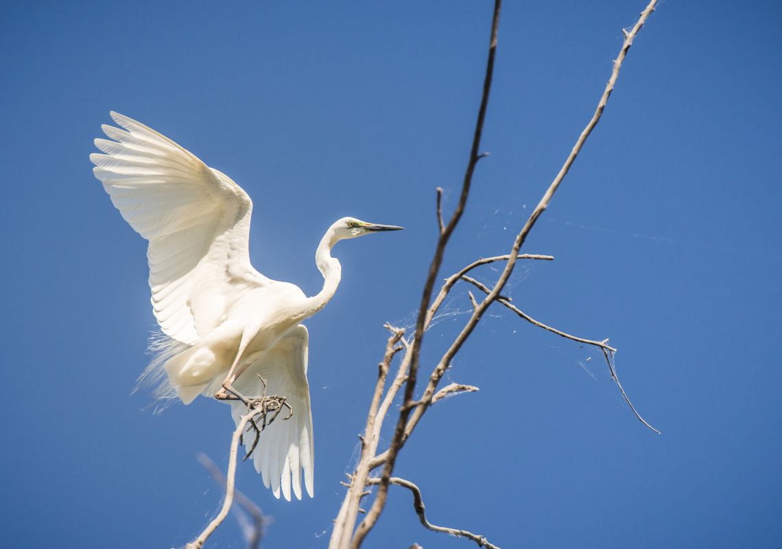 Nyngan NSW - Plan a Holiday | Visit NSW