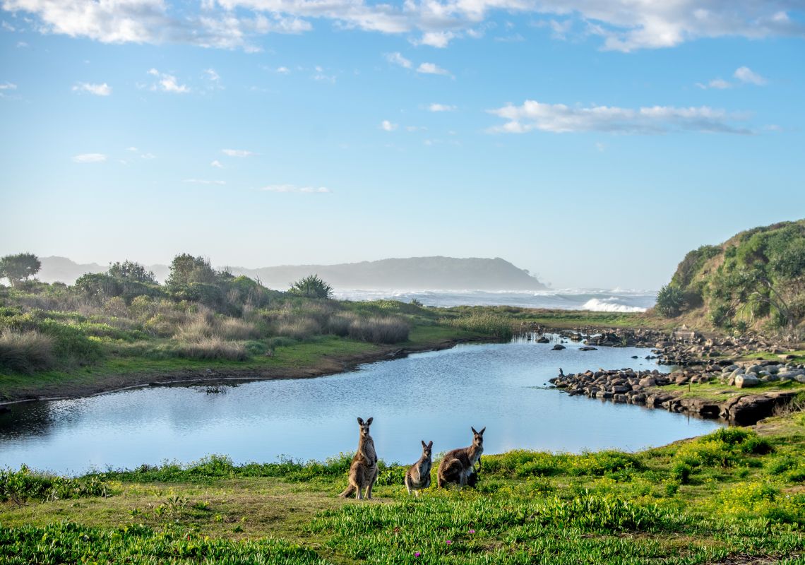 Iluka NSW - Plan a Holiday - Caravan Parks, Camping & Things To Do