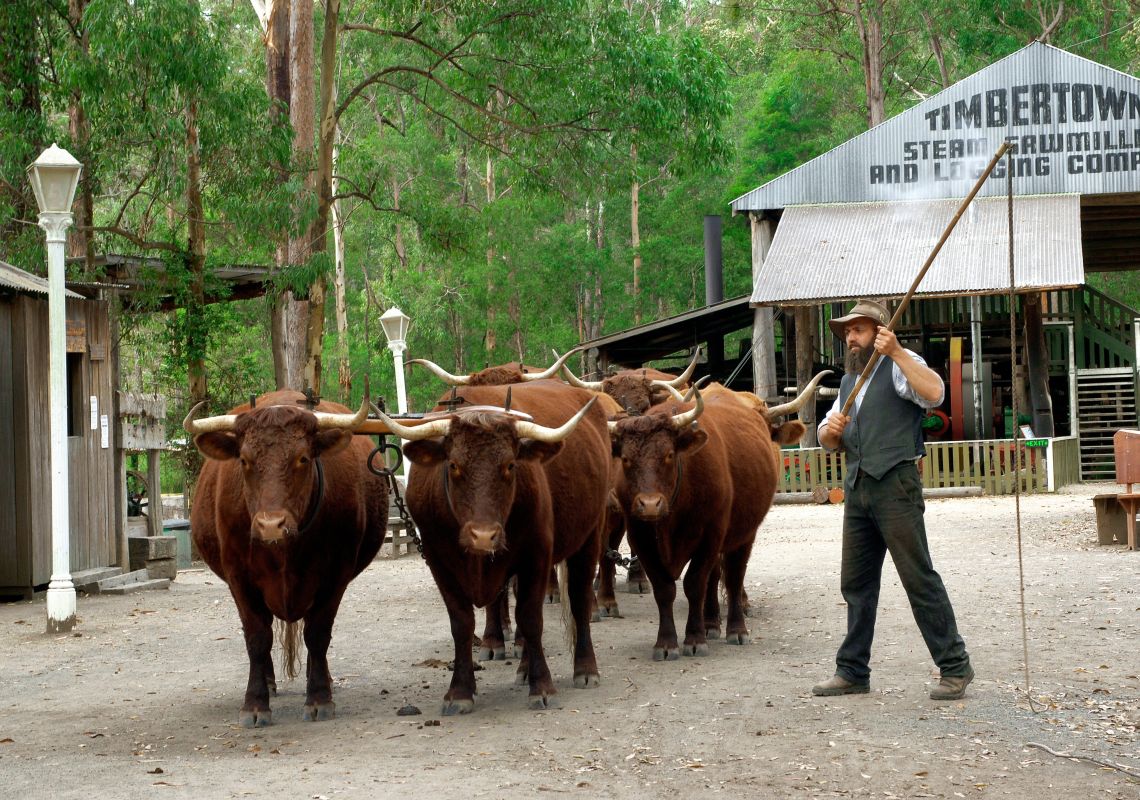 Wauchope NSW – Plan a Holiday – Timbertown, Accommodation & Attractions