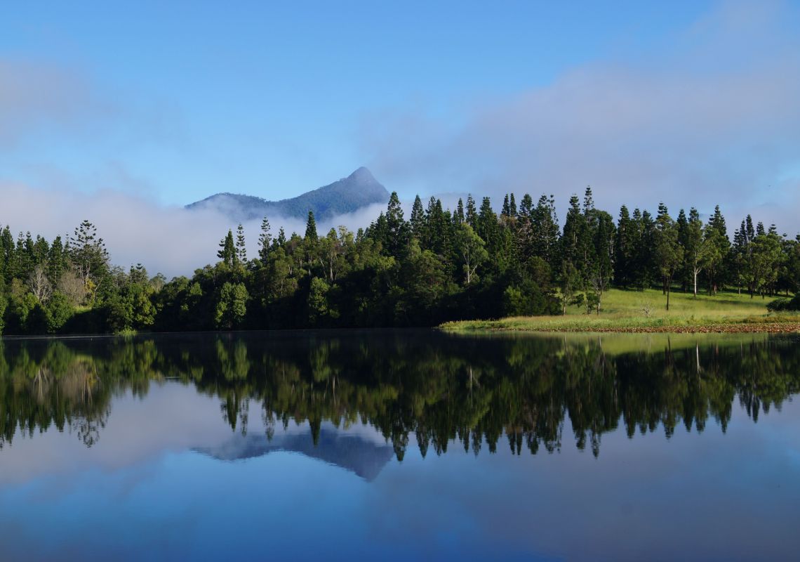 Uki NSW - Accommodation, Maps, Attractions, and Things To Do ...