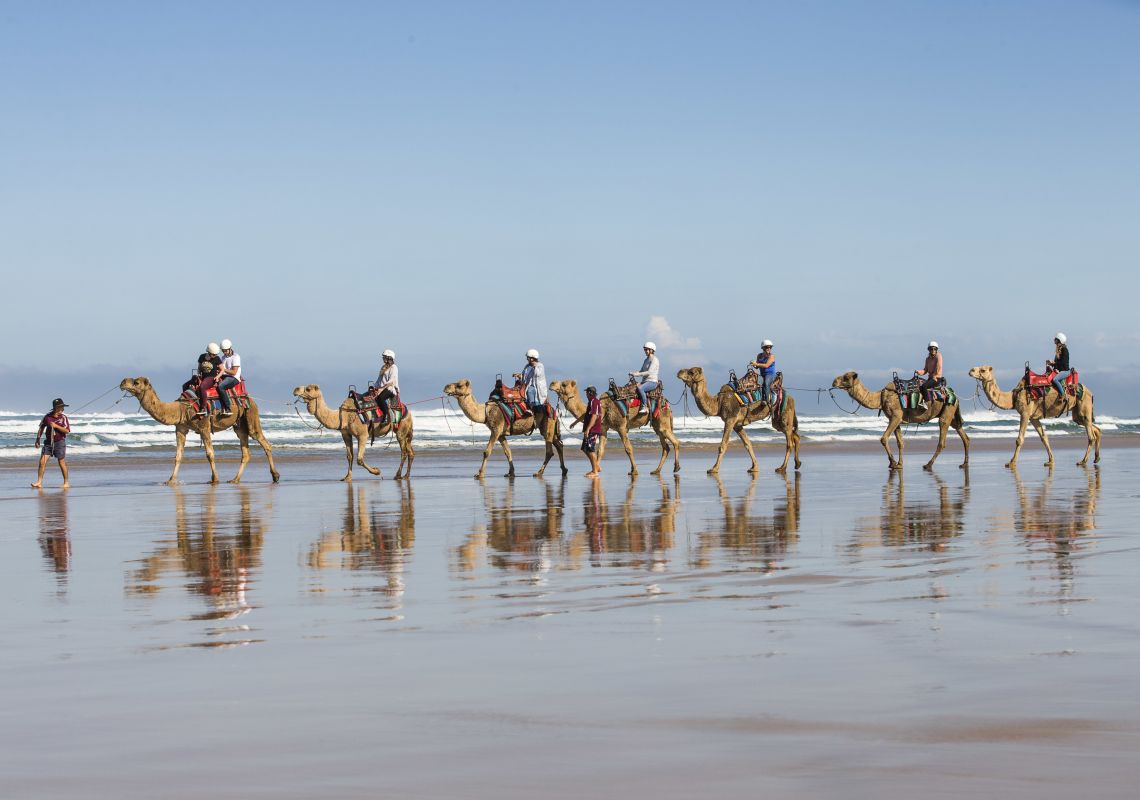 Anna Bay | NSW Holidays & Accommodation, Things to Do, Attractions and ...