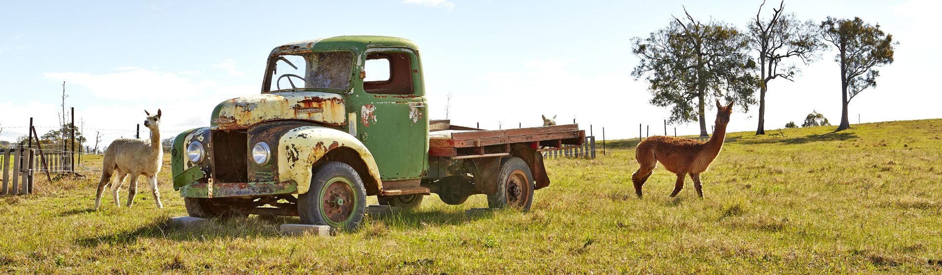 Lostock Dam Caravan Park | NSW Holidays & Accommodation, Things to Do ...