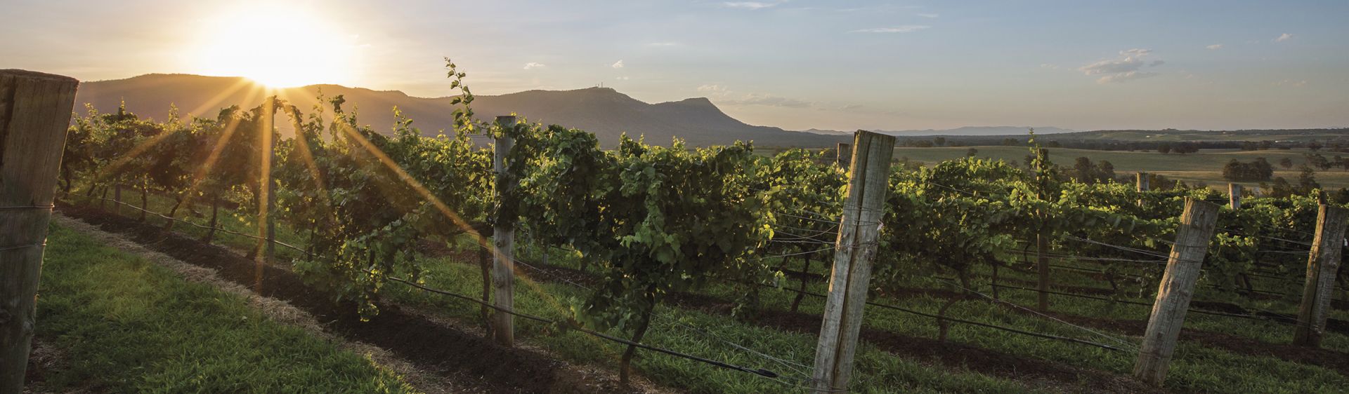 Pokolbin Activities | NSW Holidays & Accommodation, Things to Do ...