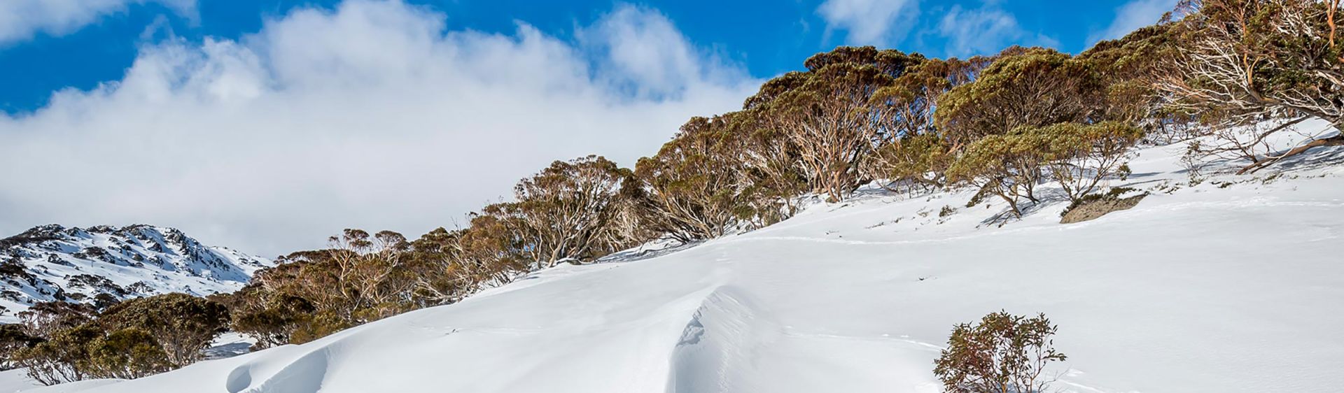 Skiing And Snowboarding NSW - Plan a Holiday - Snow & Ski Resorts