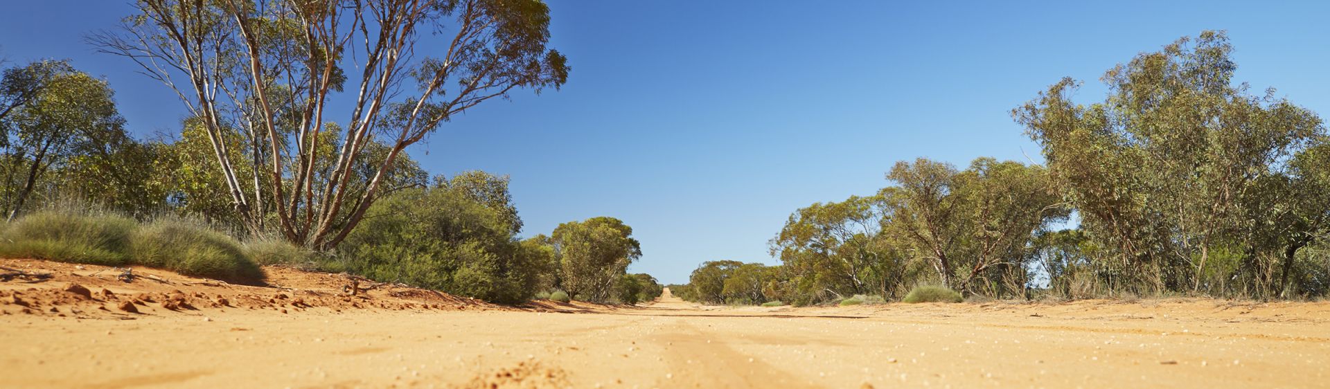 National Parks In Outback NSW - Plan a Holiday - Camping & Attractions