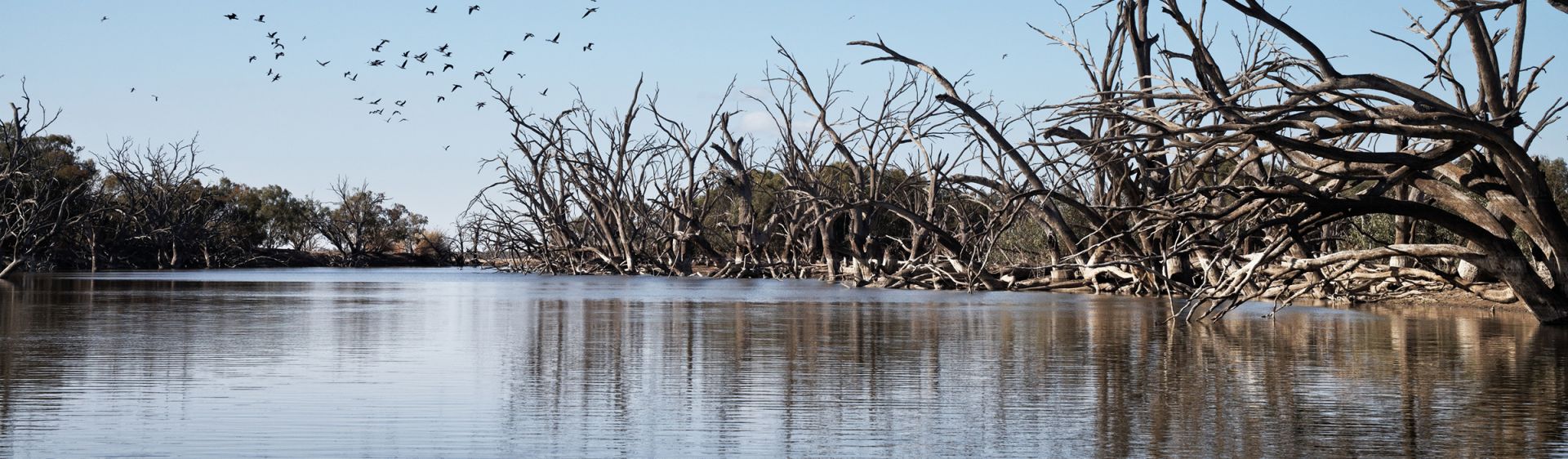 Menindee Lakes - Plan a Holiday - Accommodation, Maps & Fishing