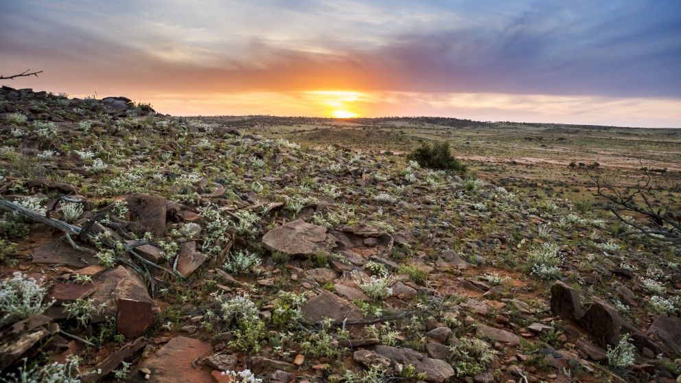 Corner Country NSW - Plan a Holiday - Outback Tourism & Things To Do