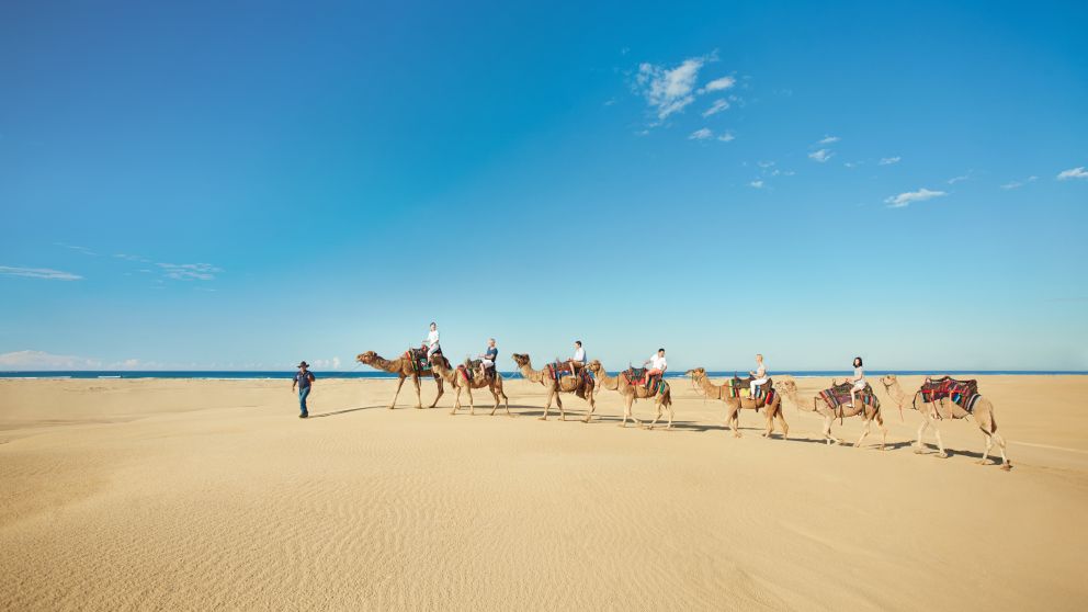 Port Stephens, NSW | Official NSW Tourism & Travel Website