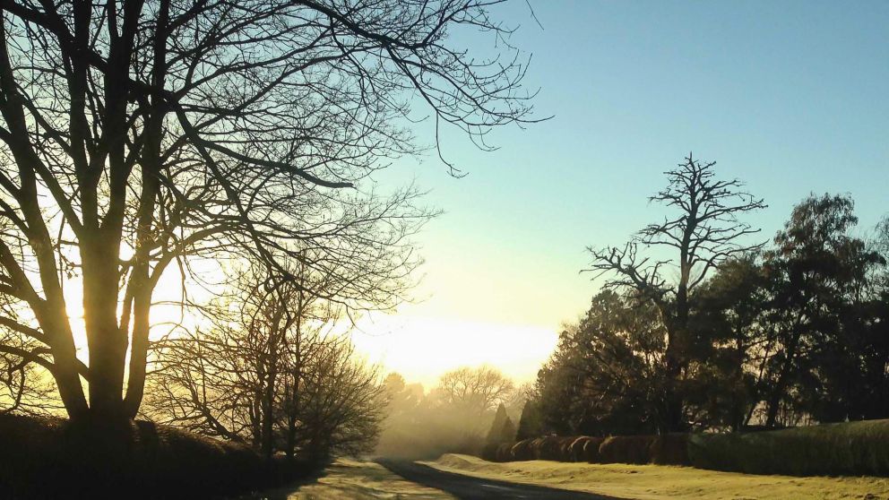 Sutton Forest - Accommodation, Maps, Attractions ... - Visit NSW