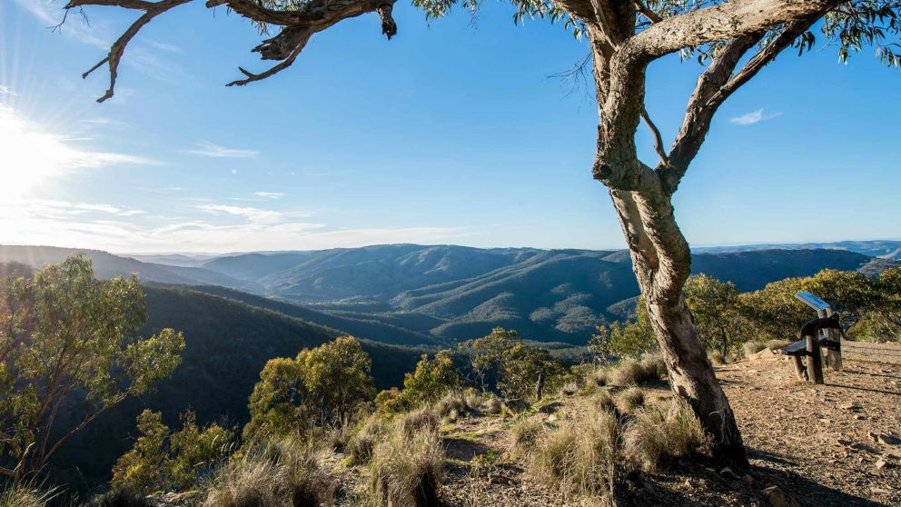 Bathurst Region - Plan a Holiday - Accommodation & Attractions