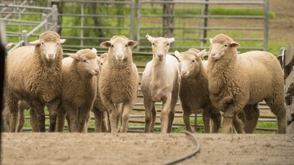 Hay NSW - Plan a Holiday - Attractions, Maps, Accommodation & Events