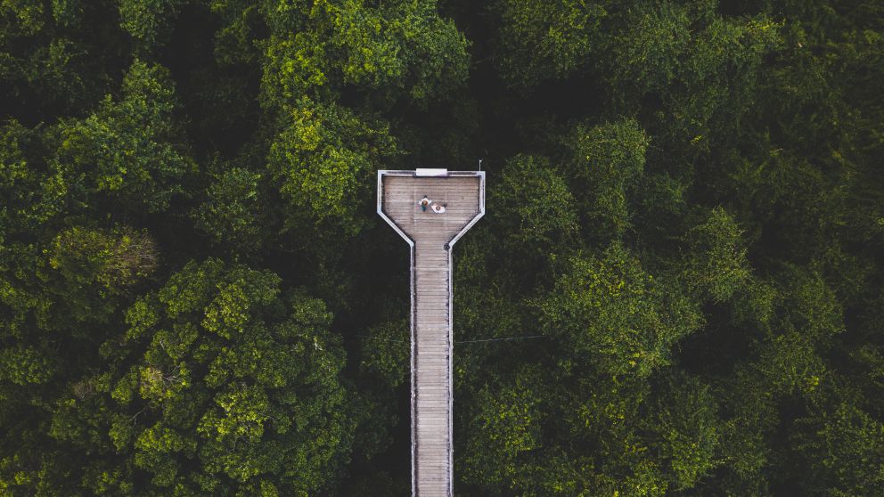 Dorrigo NSW – Find Accommodation, Rainforest Walks & Events