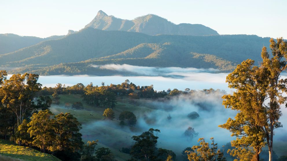 11 unmissable nature experiences in Lismore & surrounds | Visit NSW