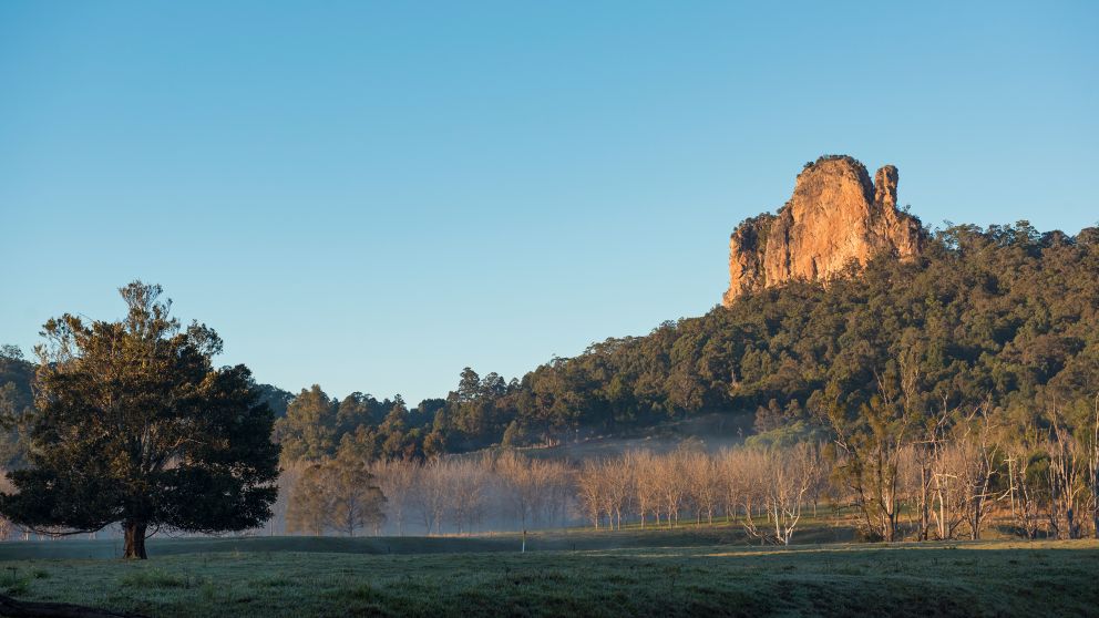 Nimbin, Lismore area – Accommodation, things to do & more | Visit NSW